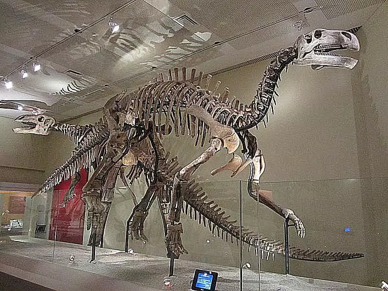 lanzhousaurus