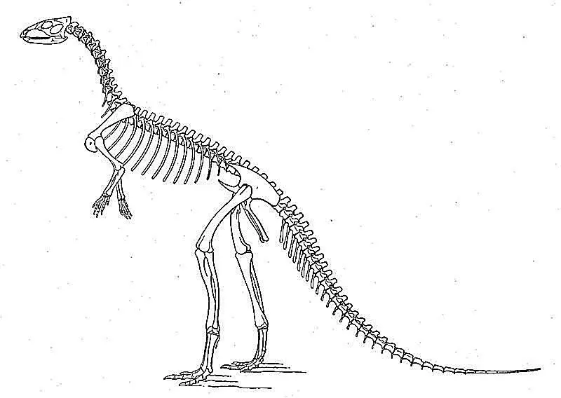 laosaurus