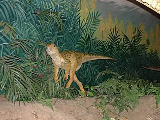 Leaellynasaura