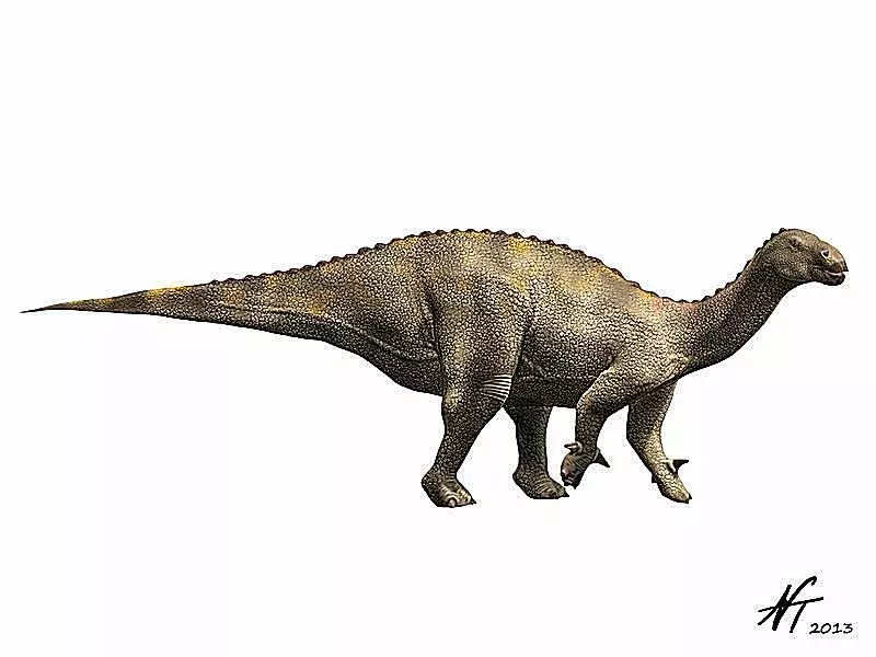 lurdusaurus