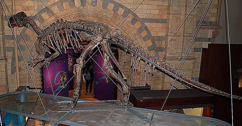 mantellisaurus