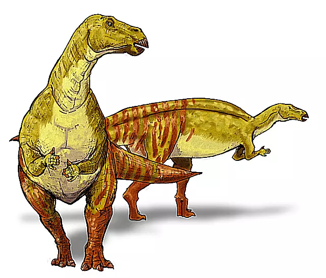 nanyangosaurus