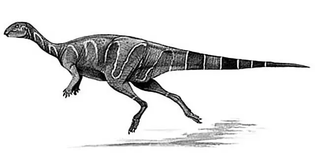 valdosaurus