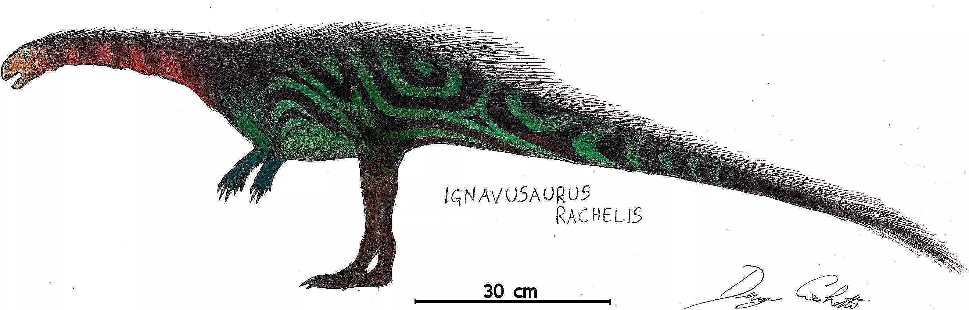 ignavasaurus