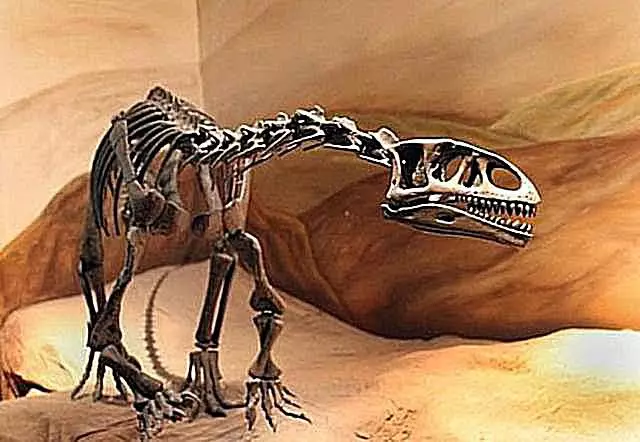 leonerasaurus