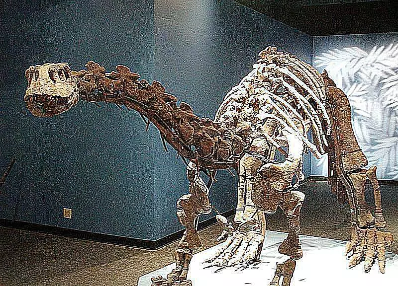 lufengosaurus