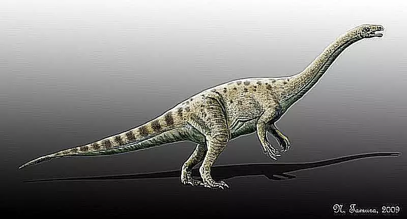 massospondylus