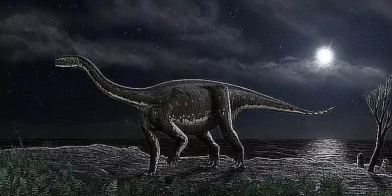 melanorosaurus