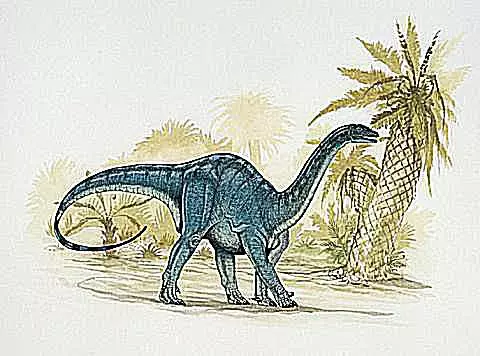 mussaurus