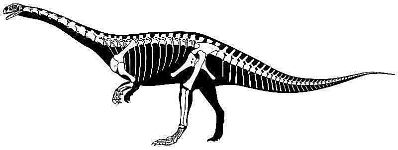 sarahsaurus