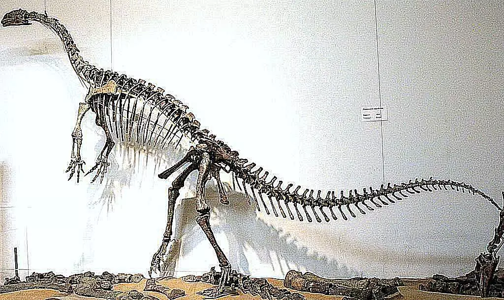 Sellosaurus