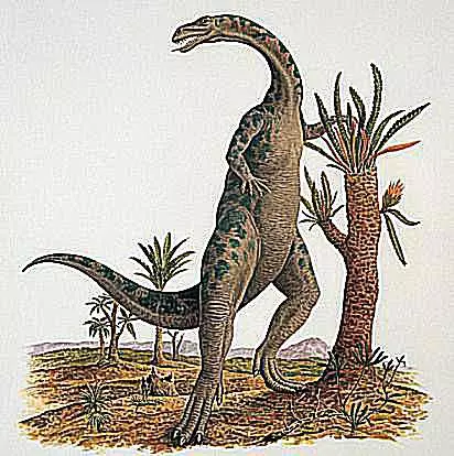 yunnanosaurus