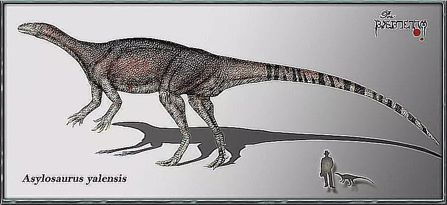 asilosaurus