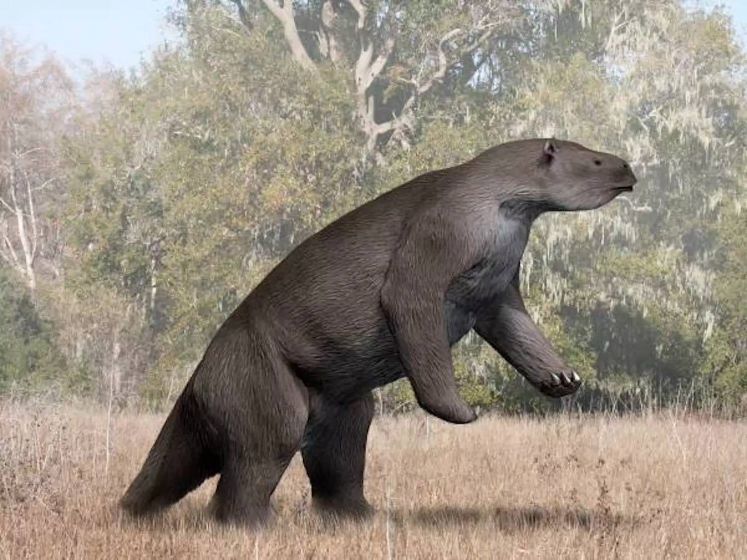 Megatherium Giant Sloth Mga Kamatuoran ug Mga Numero