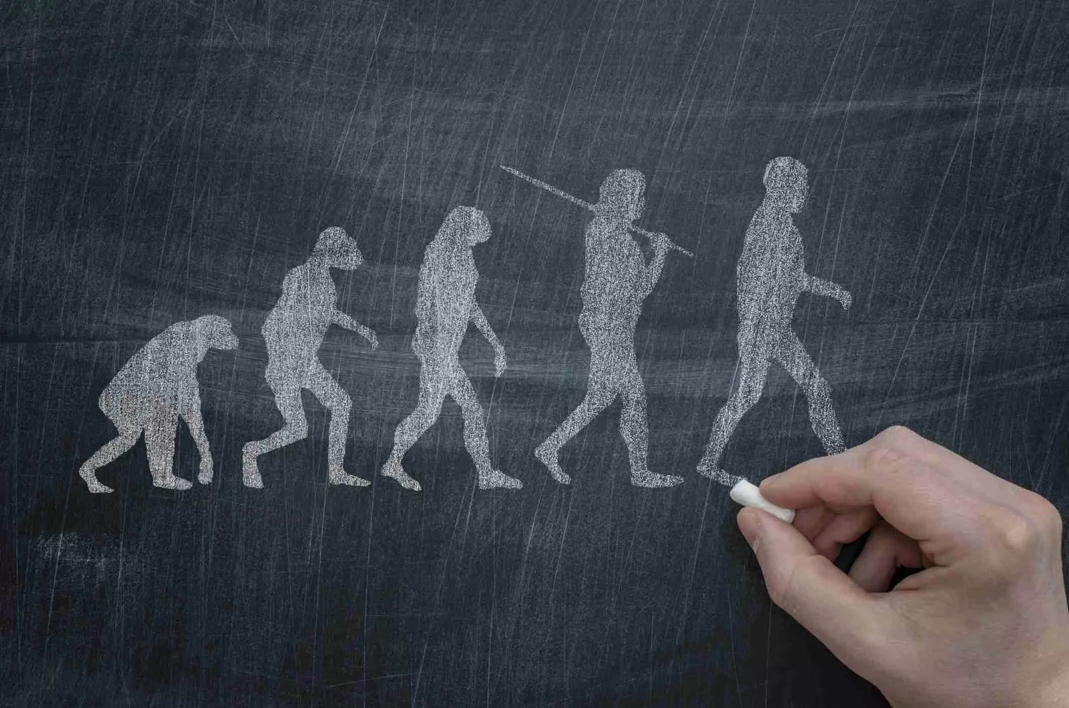 Lidská evoluce nakreslená na tabuli