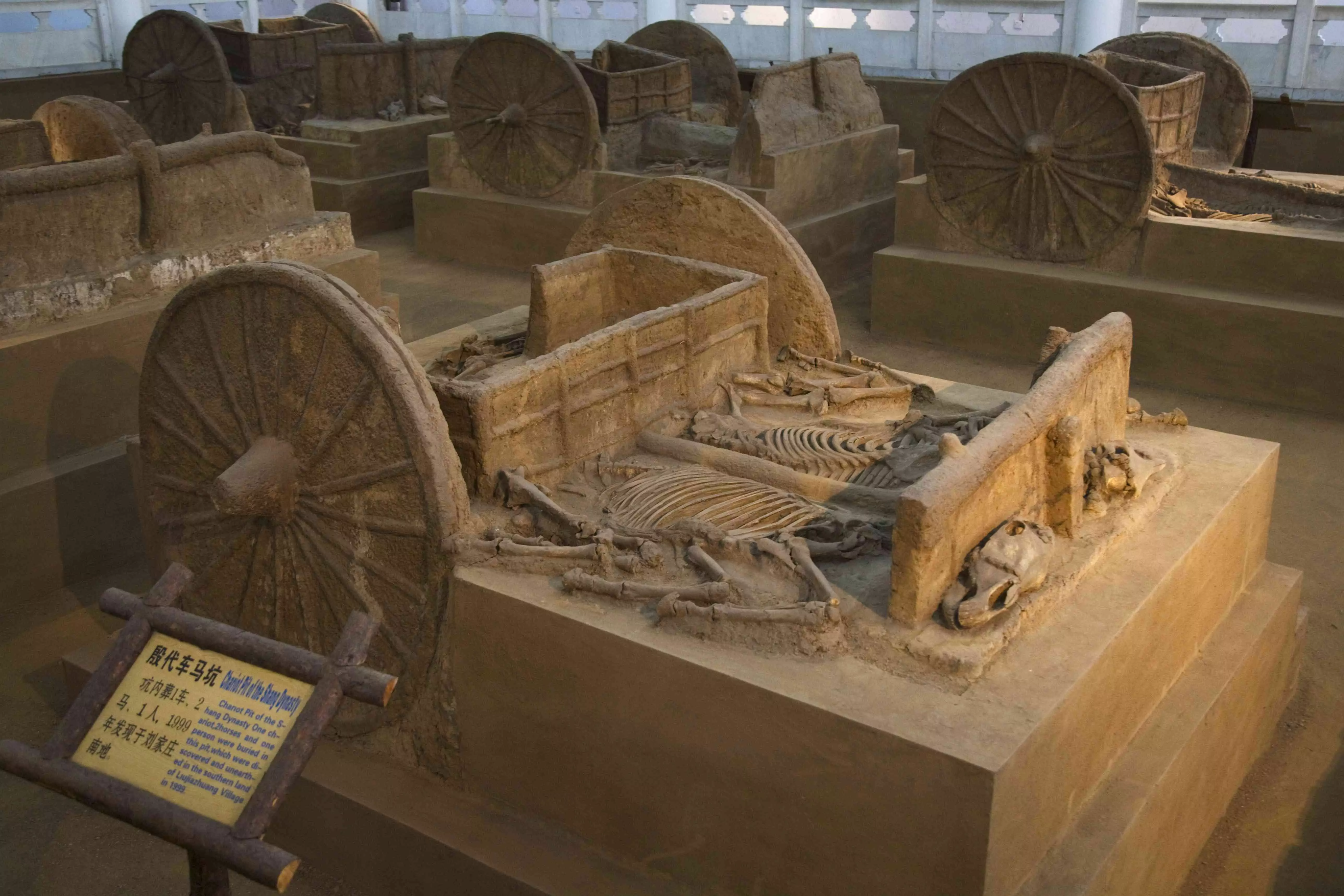 Trung Quốc, tỉnh Hà Nam, An Dương, Bảo tàng Yinxu, cỗ xe được khai quật từ Yinxu, tàn tích của triều đại nhà Thương có niên đại 4000 năm trước