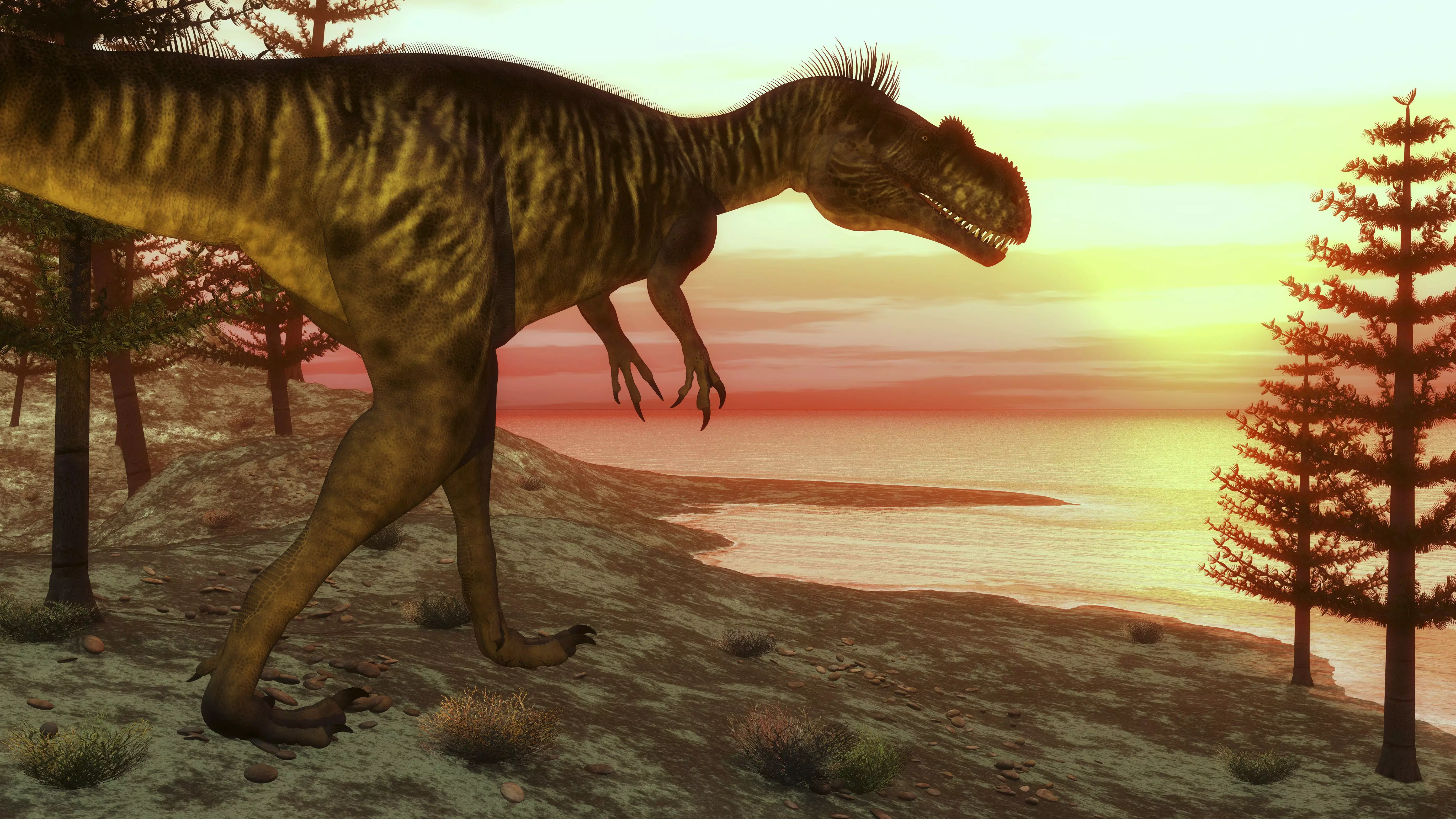 Deinosor megalosaurus yn cerdded tuag at y cefnfor ar fachlud haul.