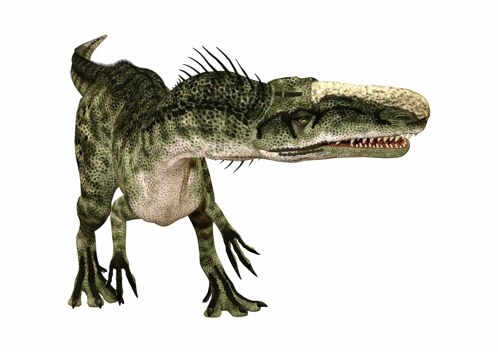 grafički prikaz monolofosaura