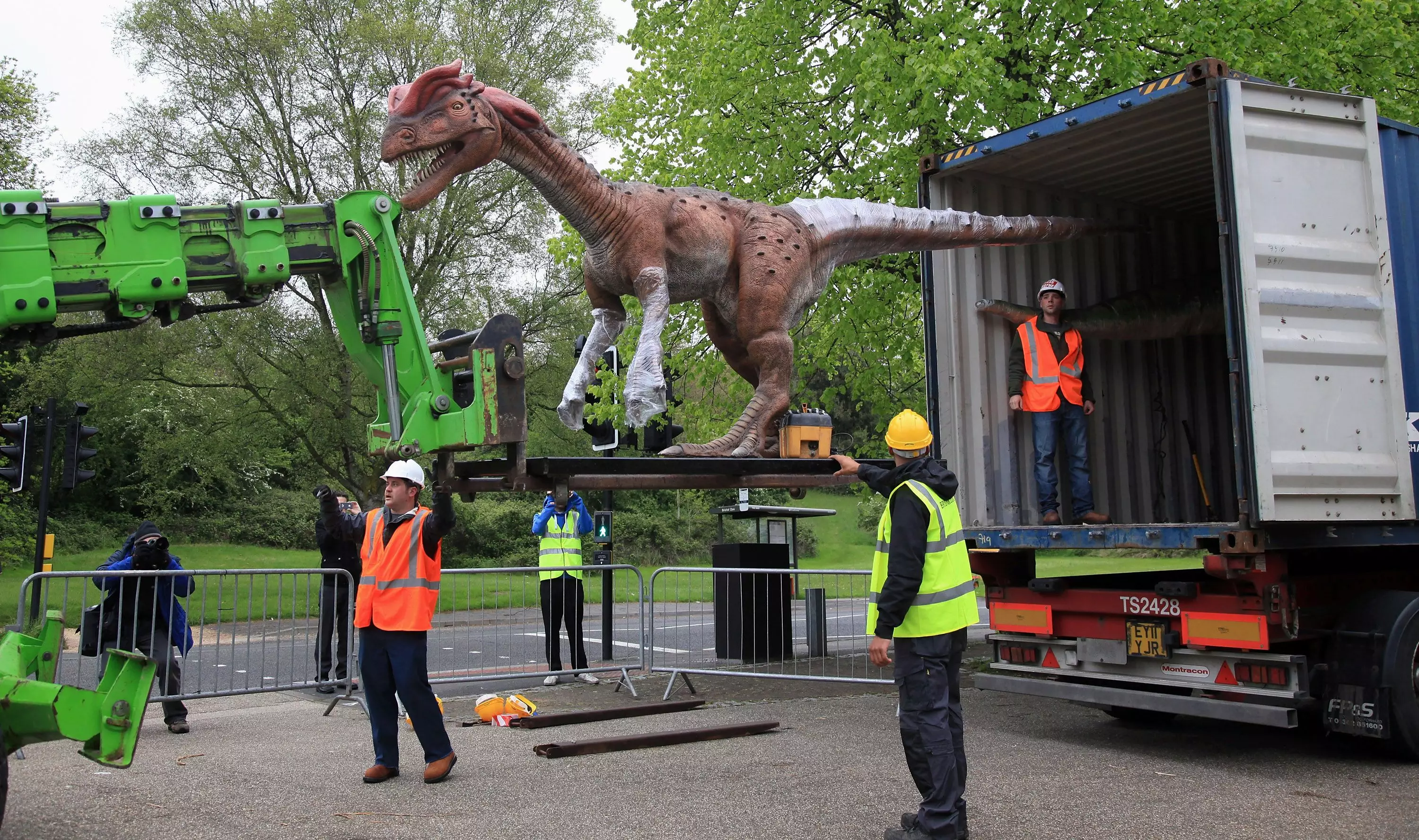 animatroniske dinosaurer bliver læsset af lastbil