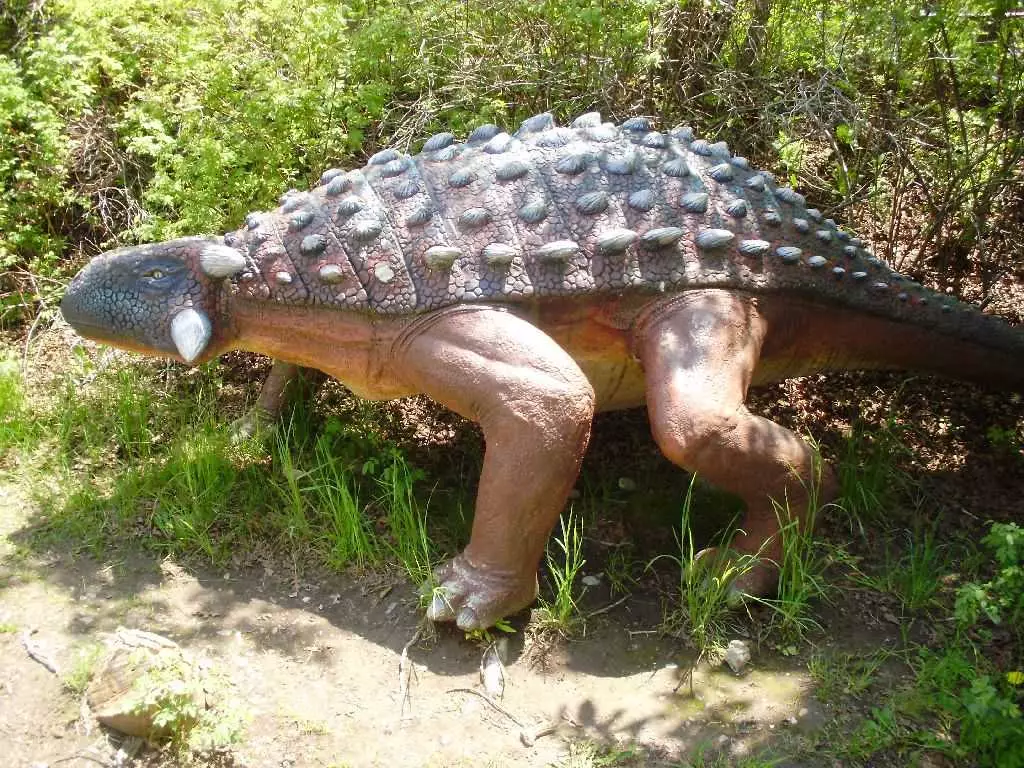 Staðreyndir um Ankylosaurus, brynvarða risaeðlu 17587_1