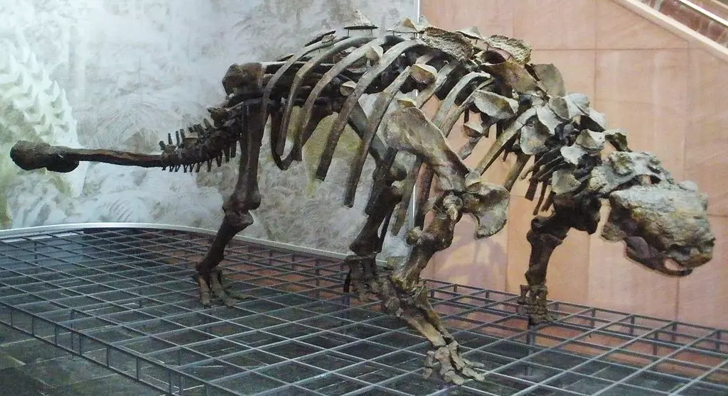 Zırhlı Dinozor Ankylosaurus Hakkında Gerçekler 17587_4