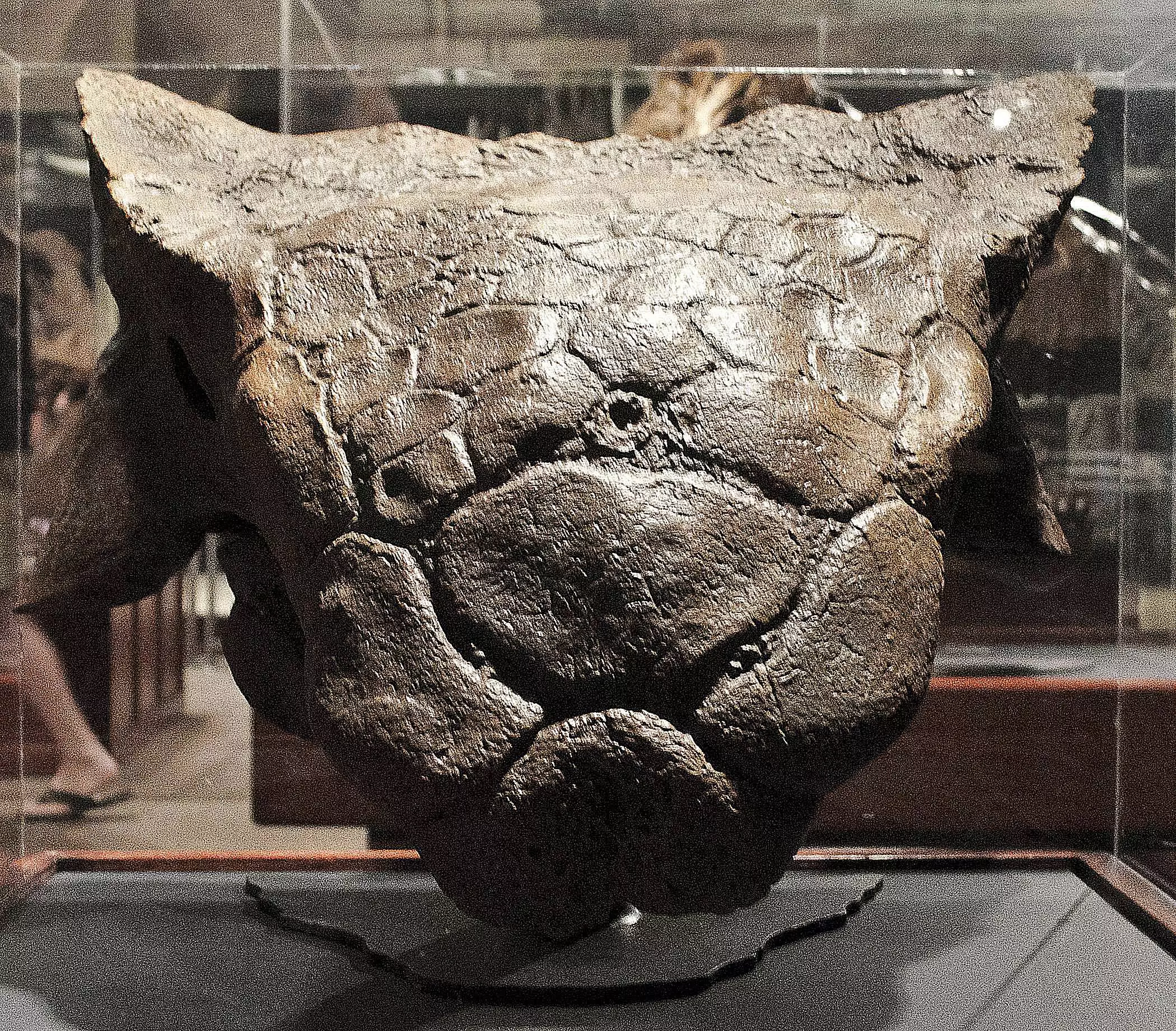 Zırhlı Dinozor Ankylosaurus Hakkında Gerçekler 17587_5