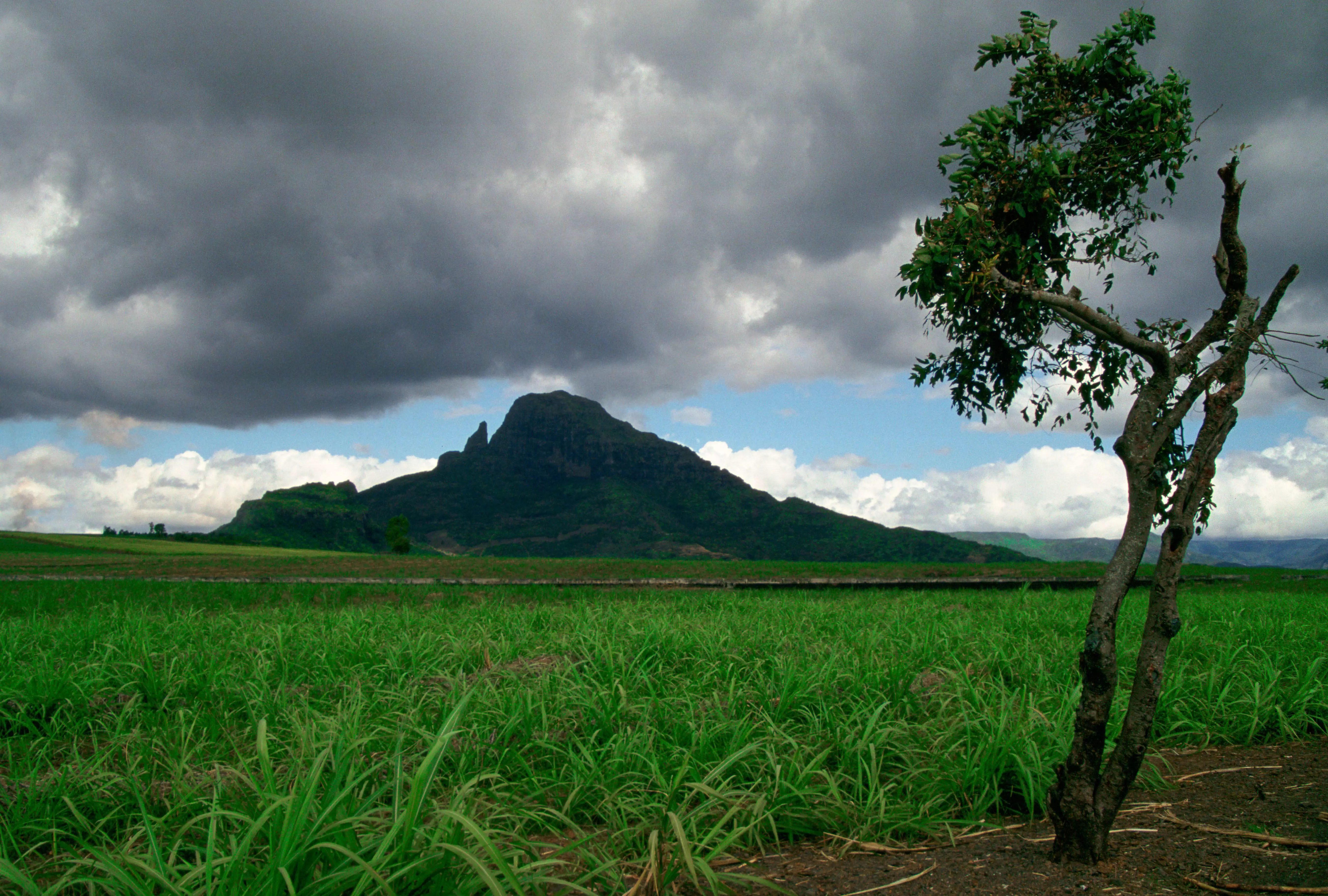 поља испред планине на Маурицијусу
