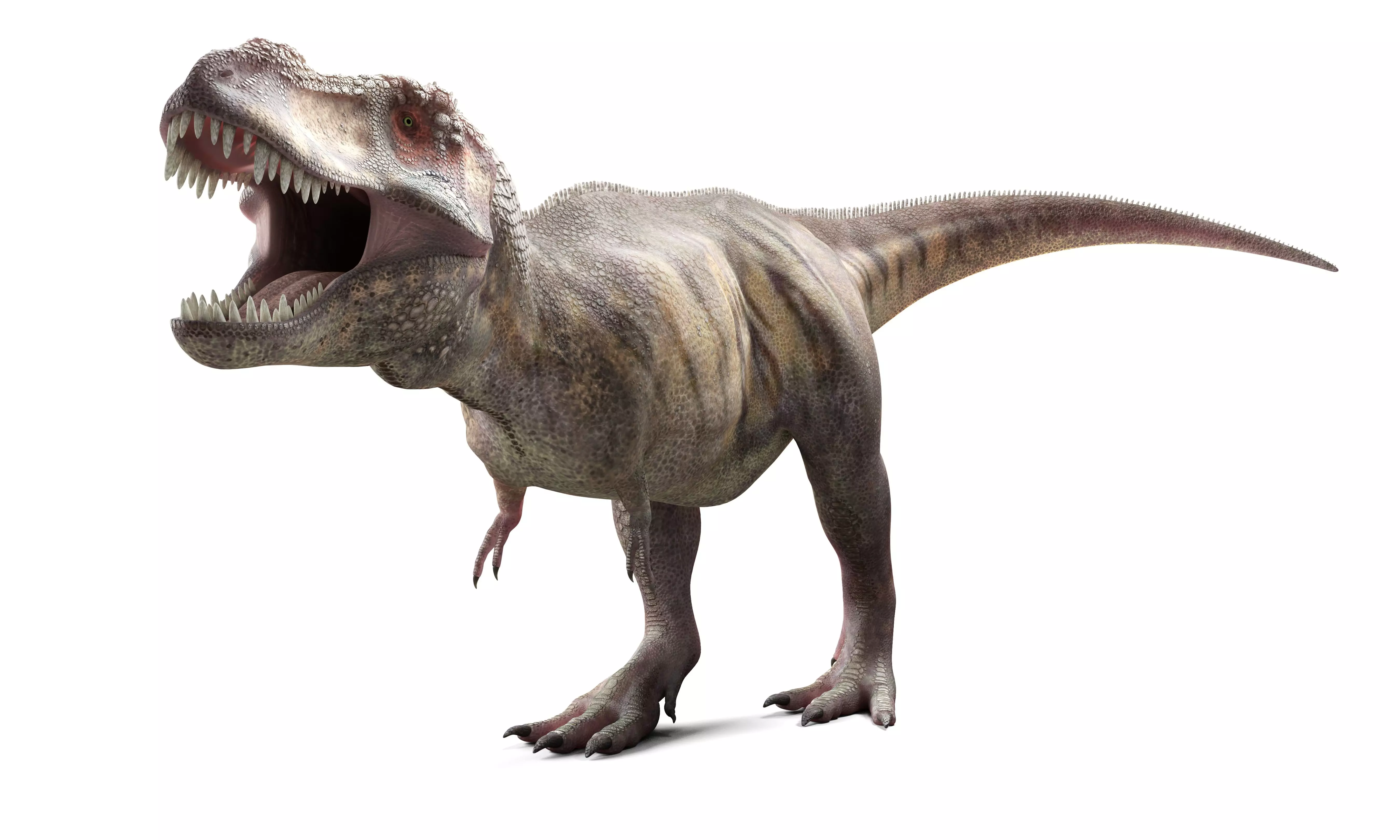 Digitalna ilustracija T-Rexa.