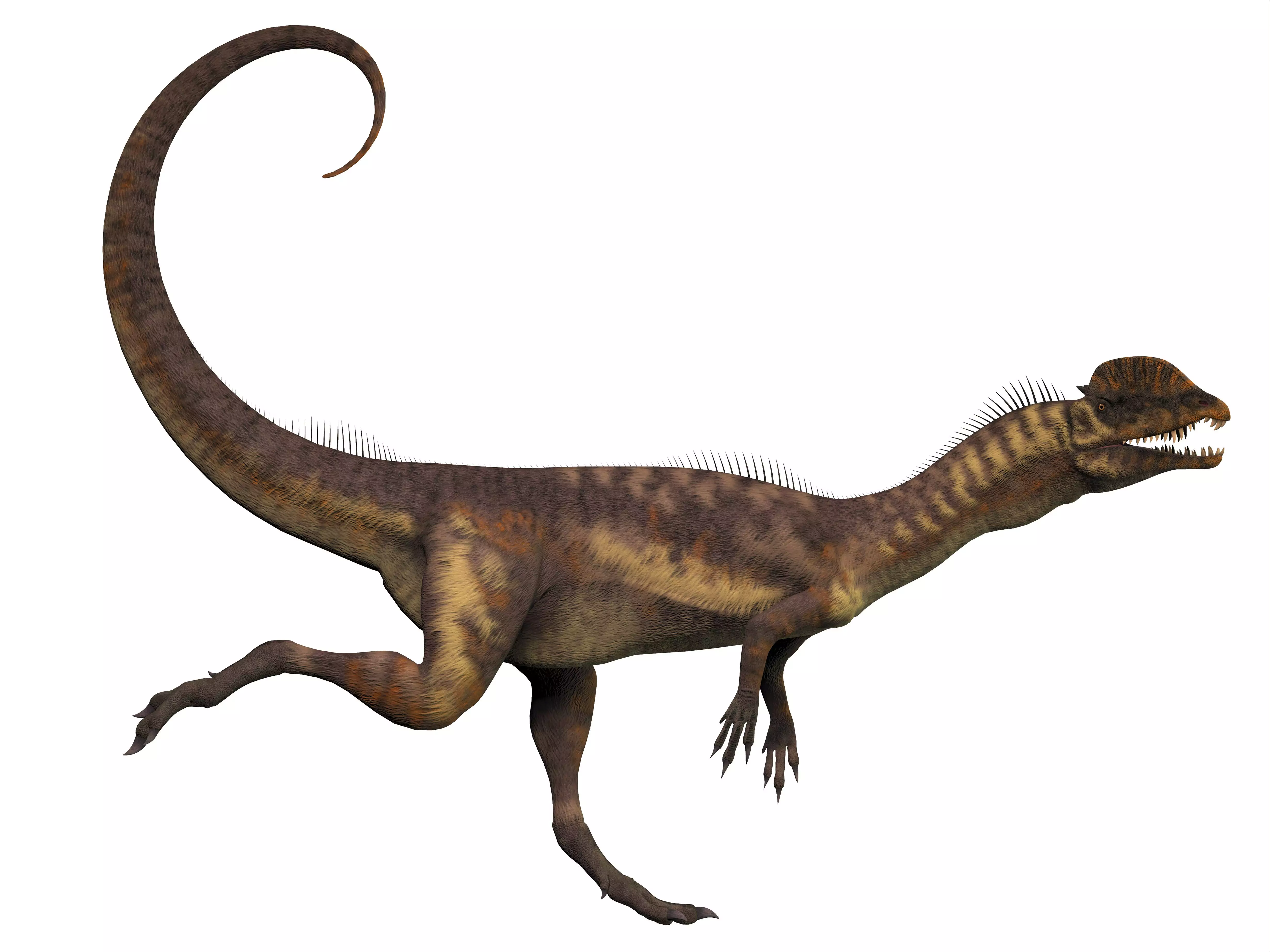 Digital illustration af dilophosaurus dinosaur
