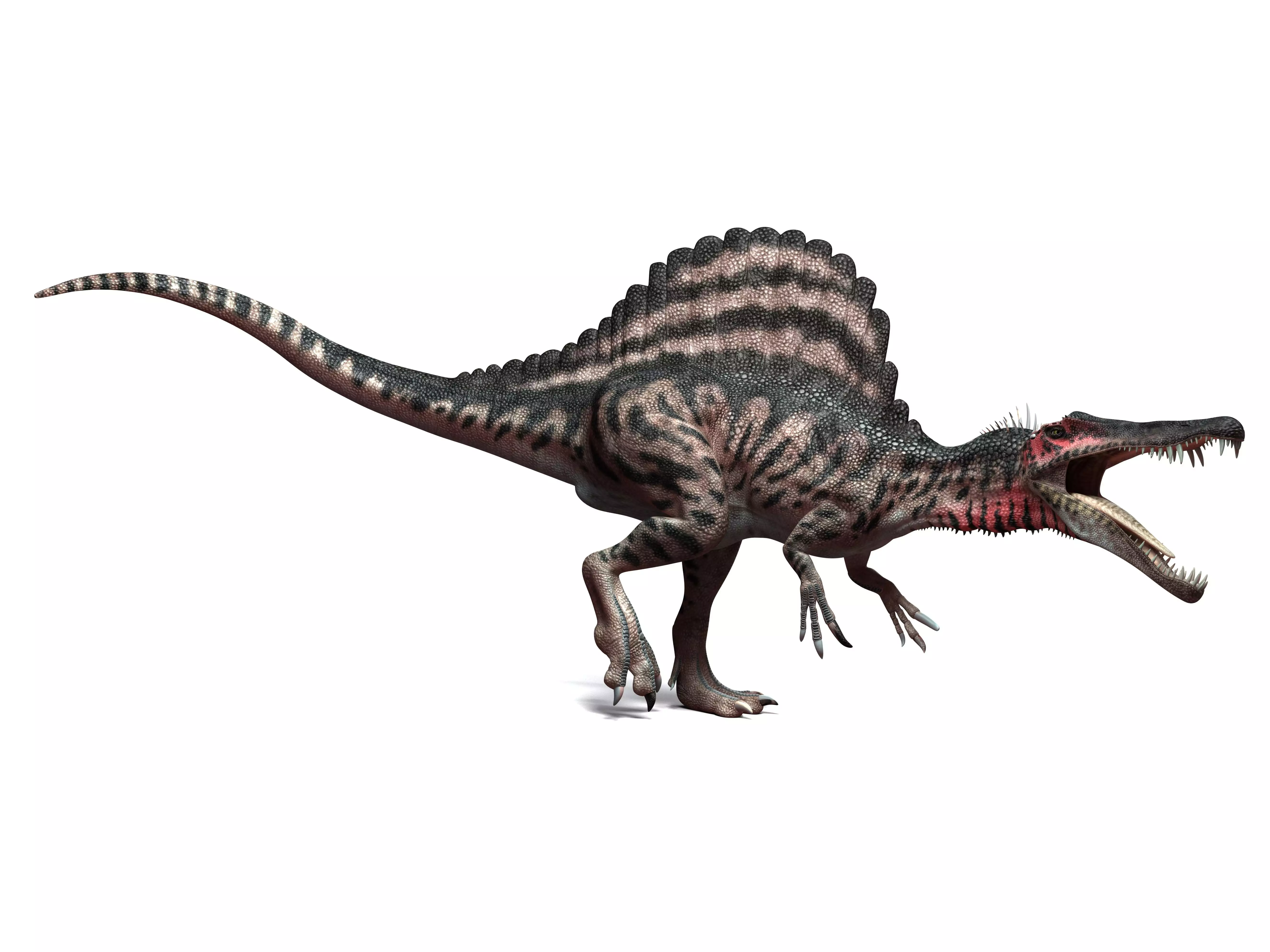 Digitale illustrasie van spinosaurus dinosourus.