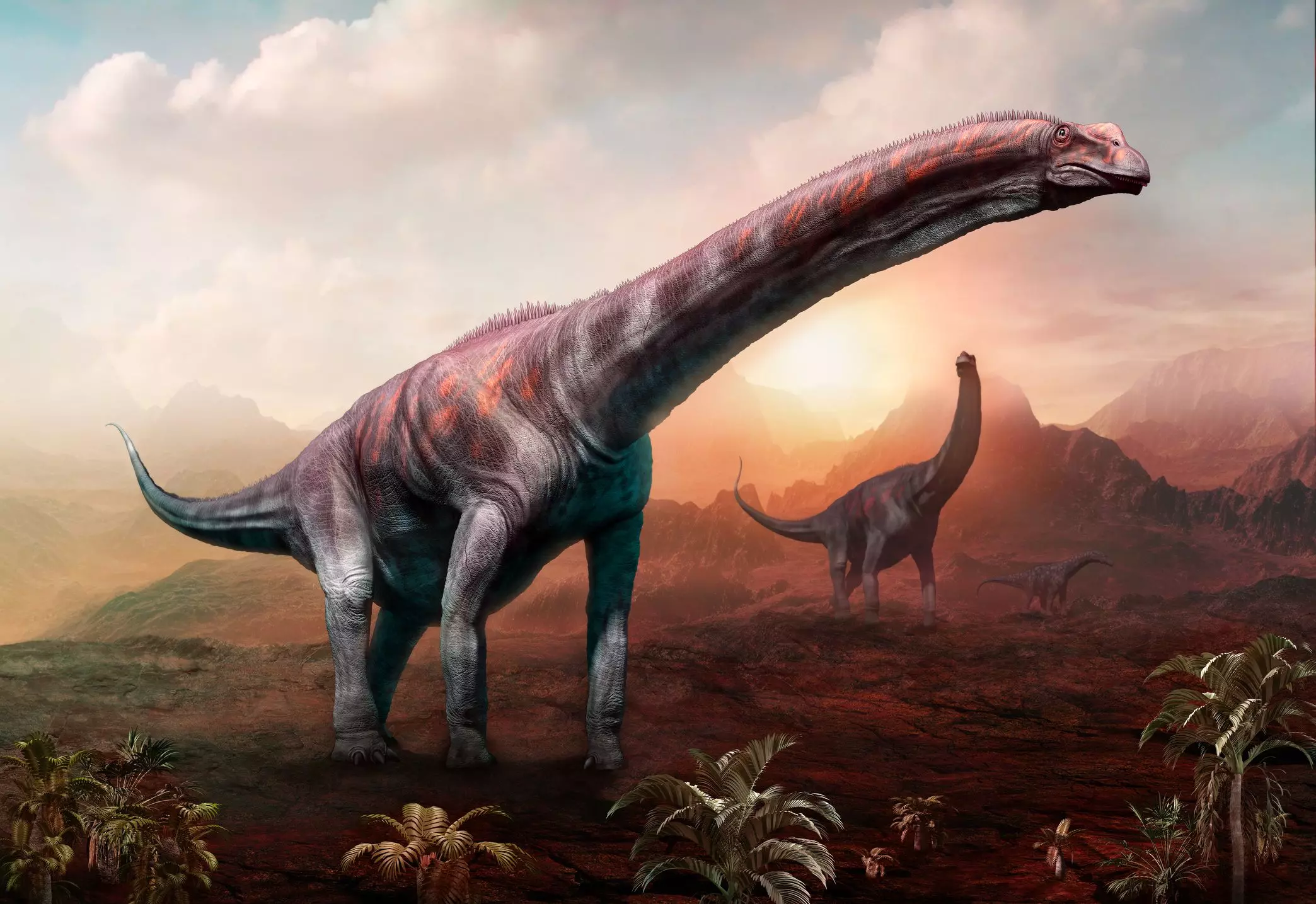 10 feite oor Argentinosaurus