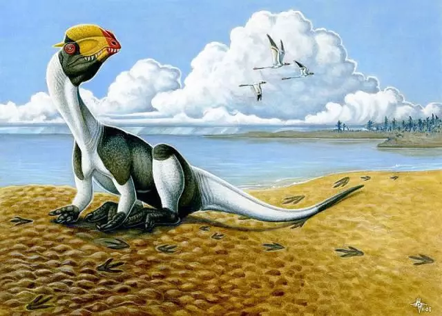 diloposaurus