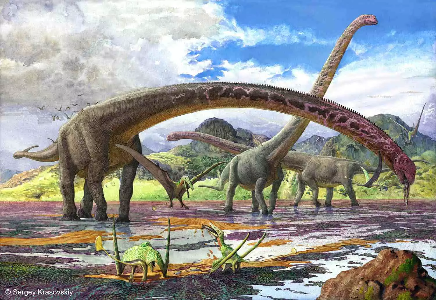 mamenchisaurus