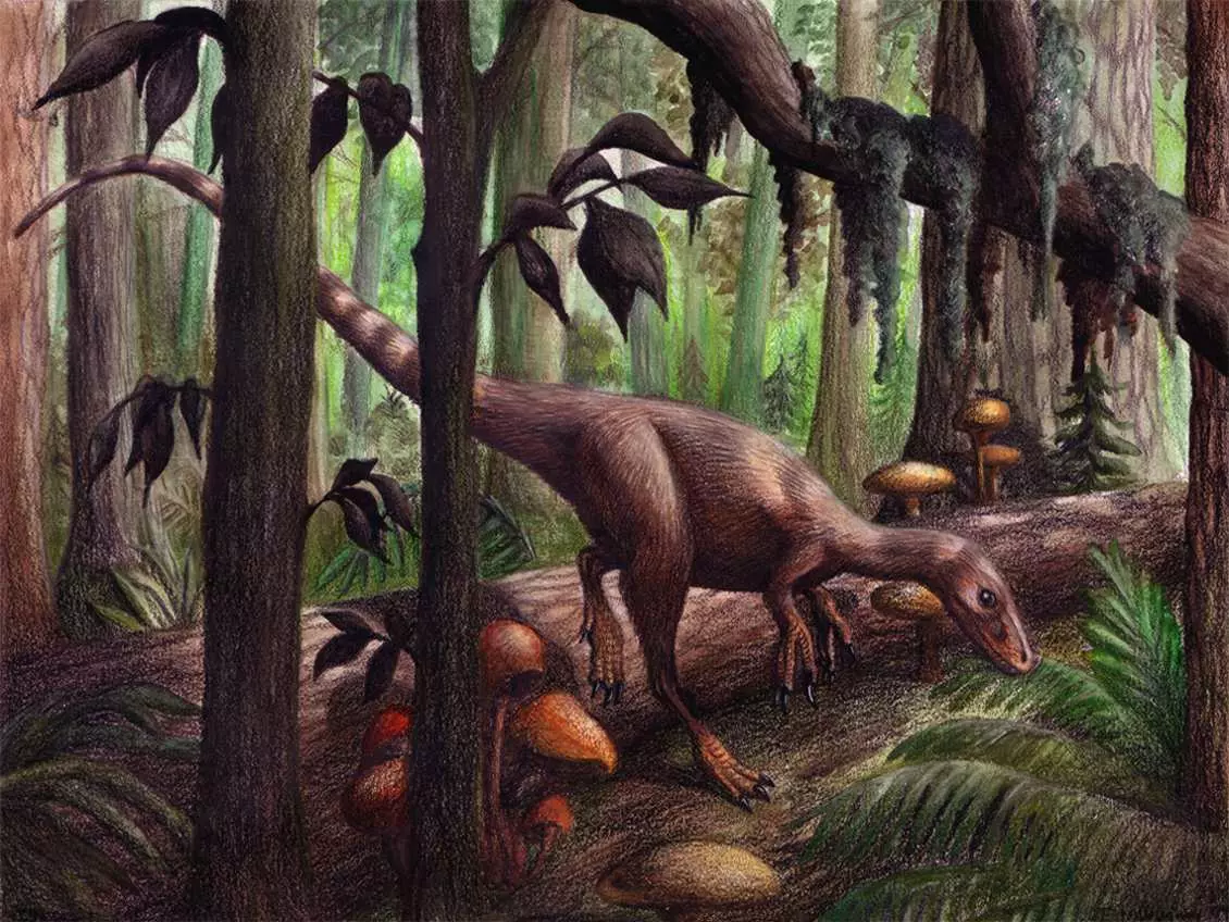 sinosauroptéryx