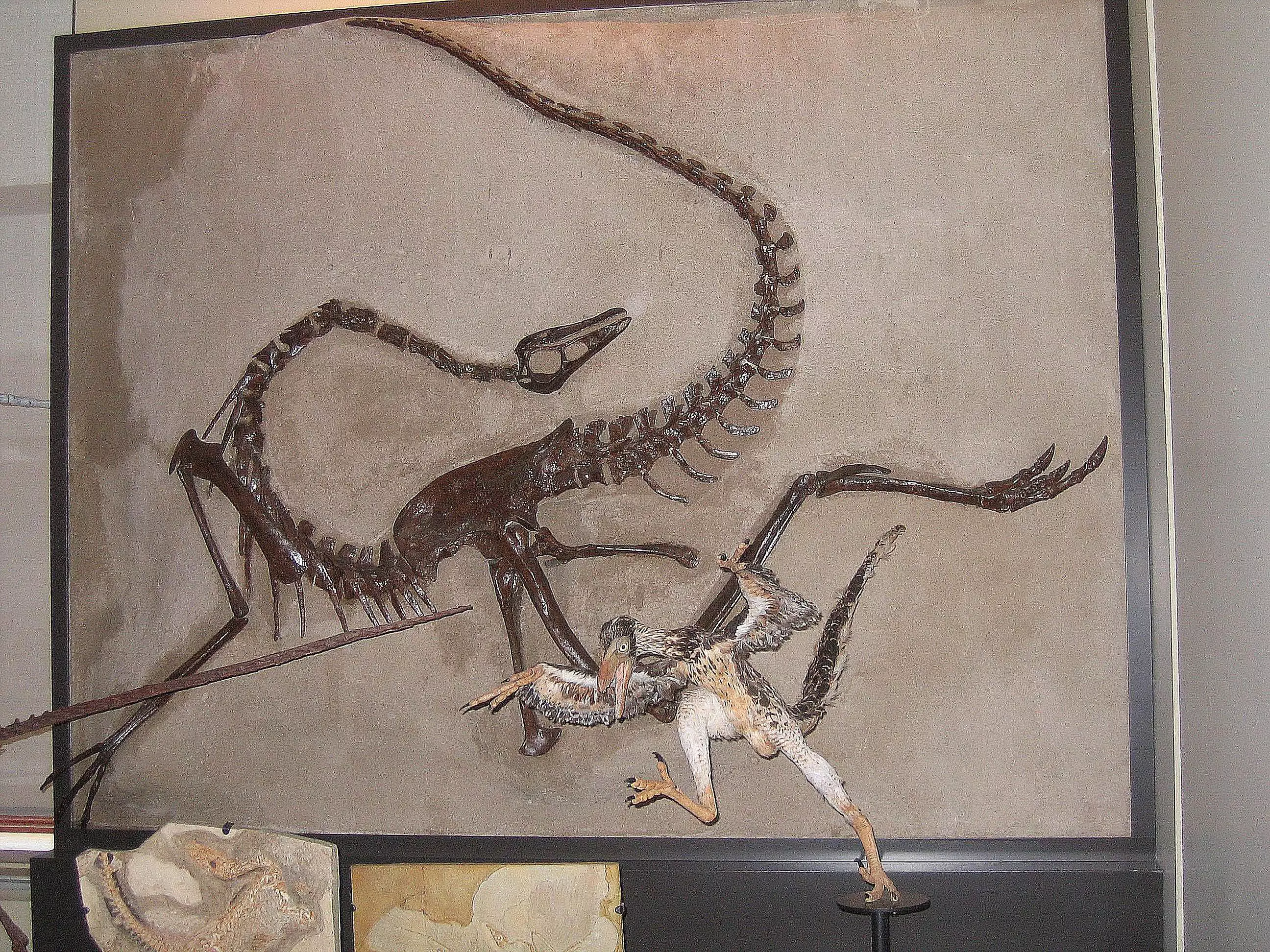 Від Ornithomimus