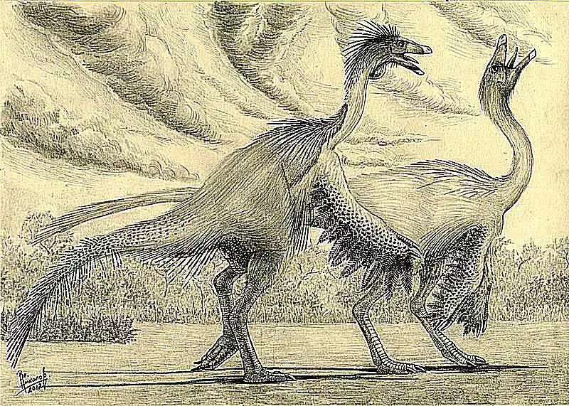 Ornithomimus