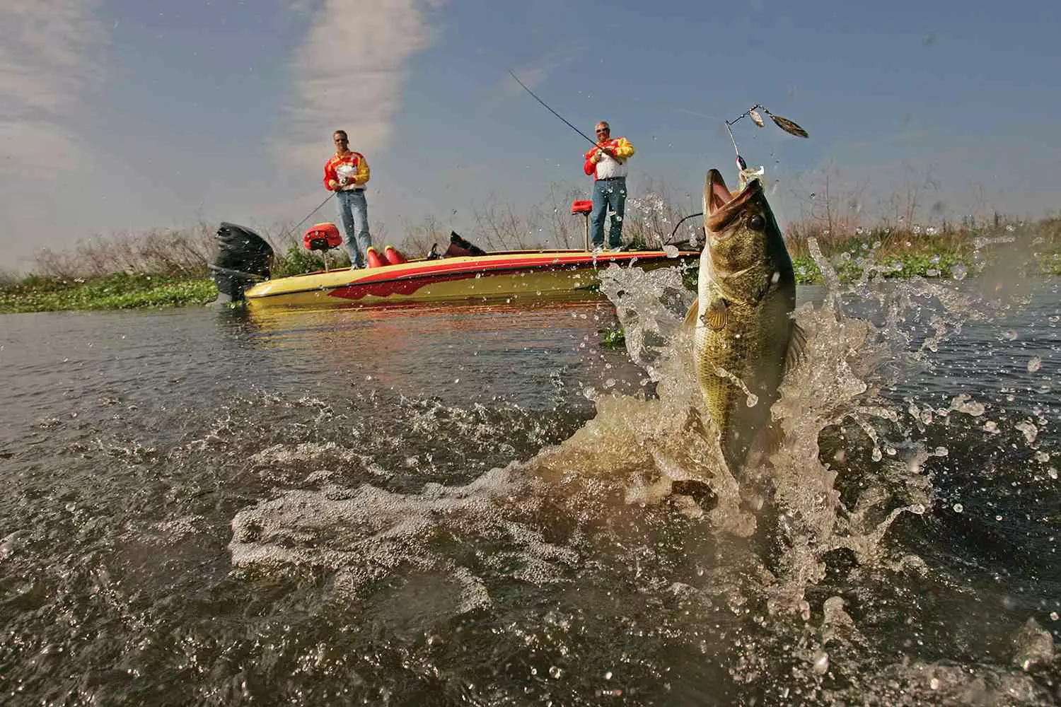 Professionele visvangtoernooi in Lake Okechobee