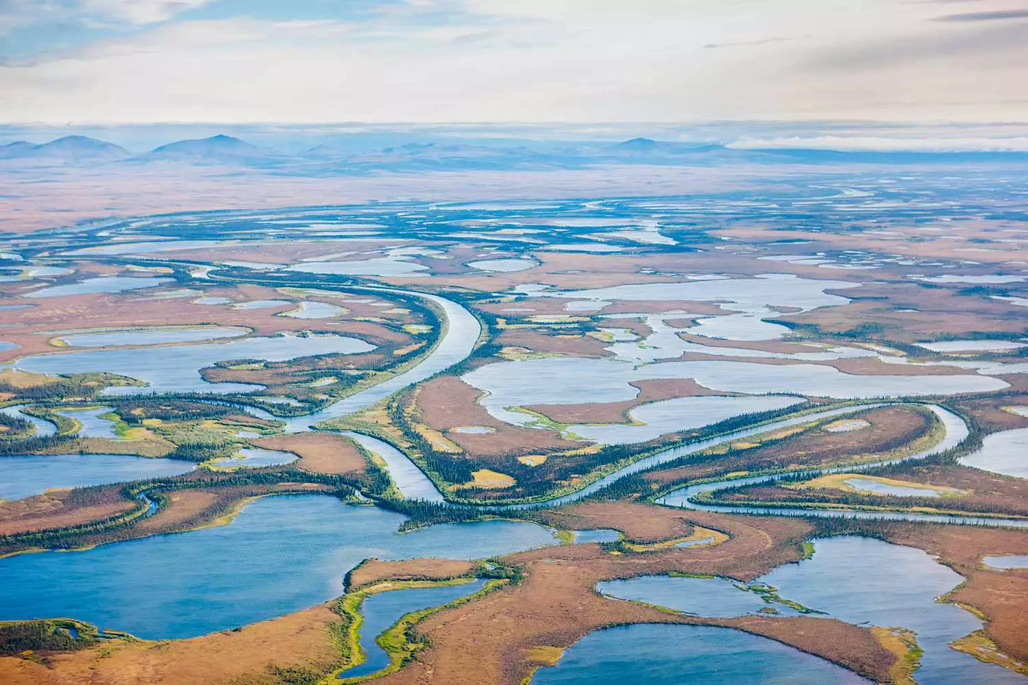 Refugio Nacional de Vida Silvestre Selawik, Ártico de Alaska