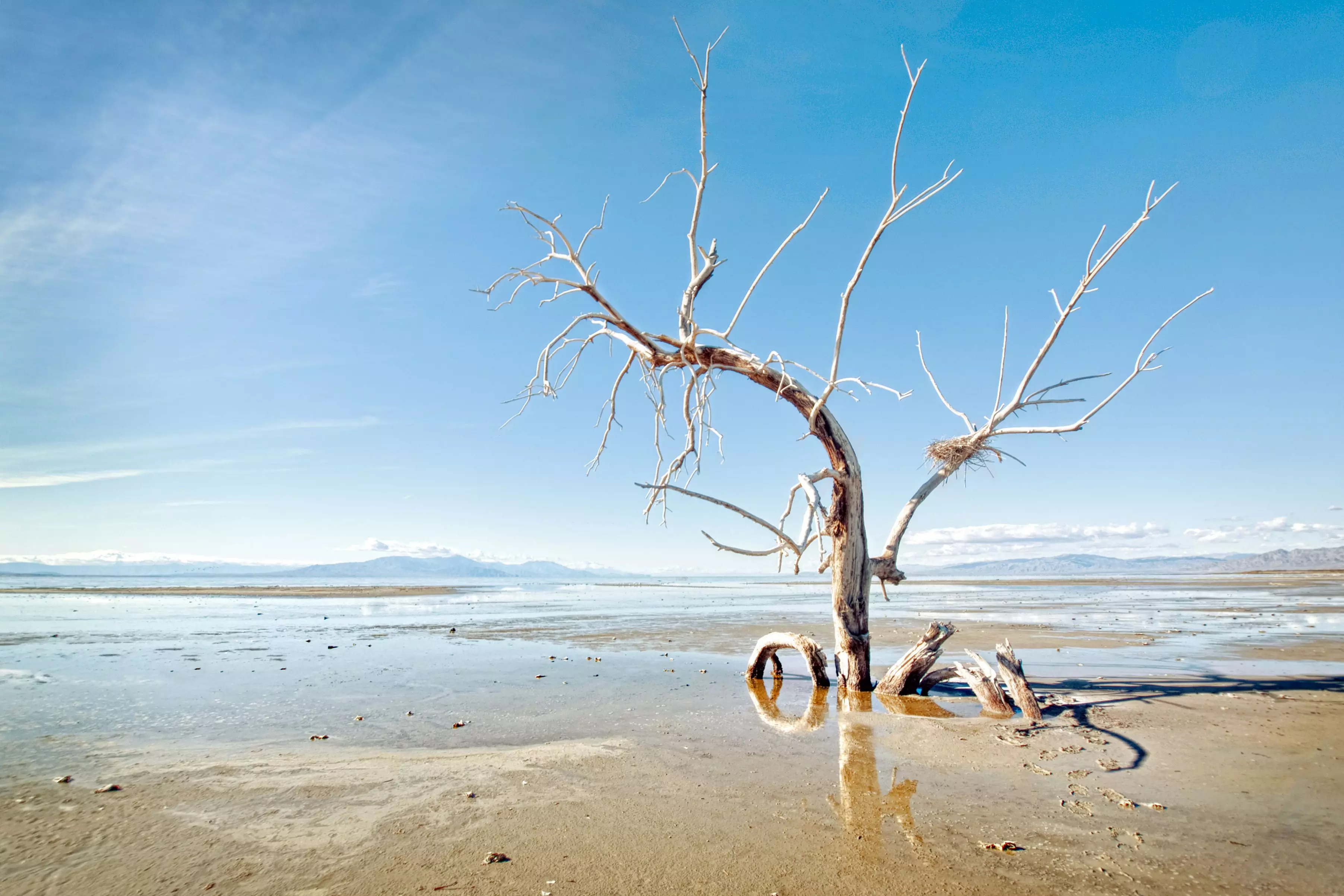 Salton Sea