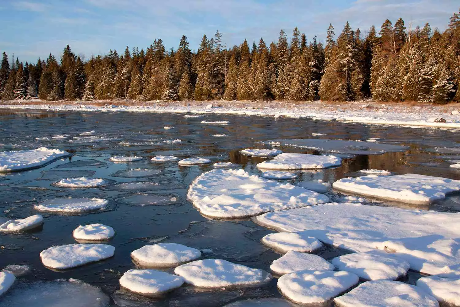 Pedazos de hielo flotante cubiertos con nieve a lo largo de la orilla boscosa del lago Huron, desvío, Michigan