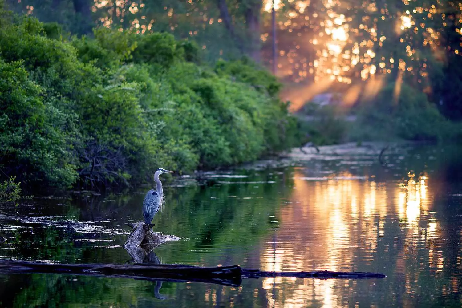 Sonsondergang by Lake Erie