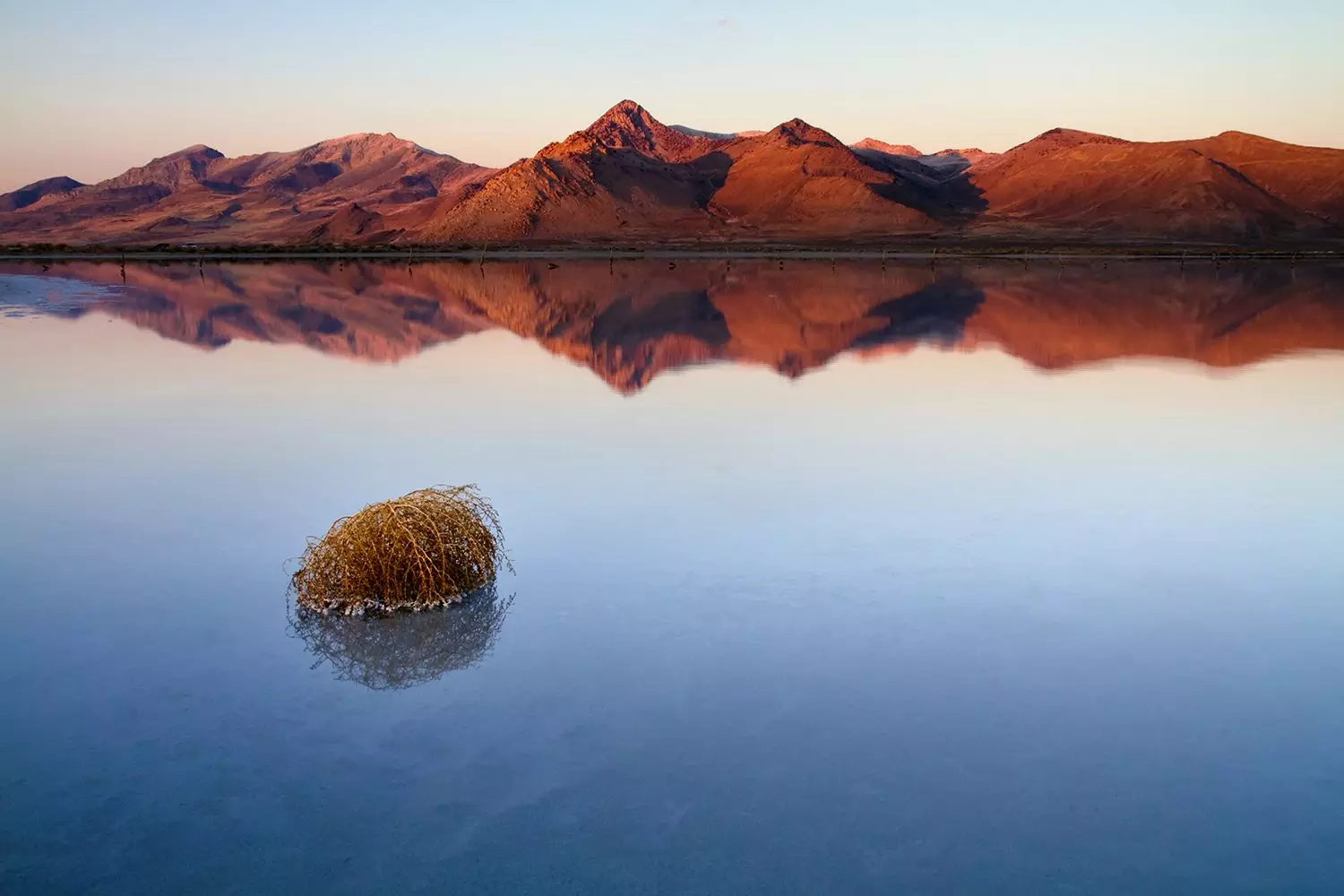 Gran Lago Salado, Utah