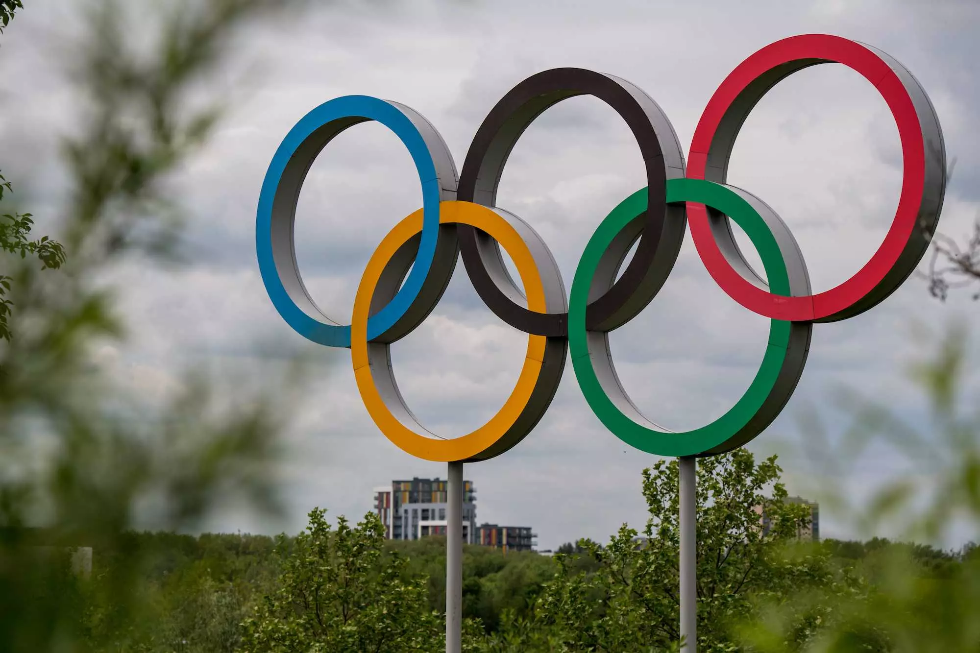 Olympijské kruhy uprostred krajinnej úpravy s budovou v pozadí.