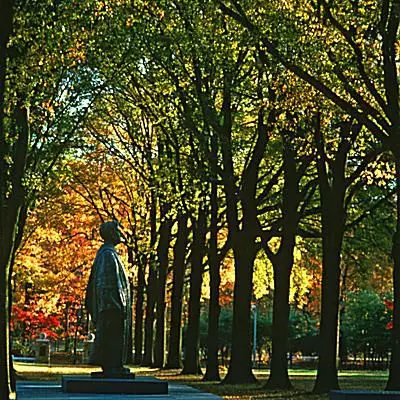 Rhodes College Avenue of Oaks