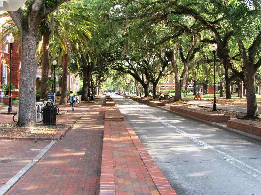Tree-Lined Walk na Mahadum Florida