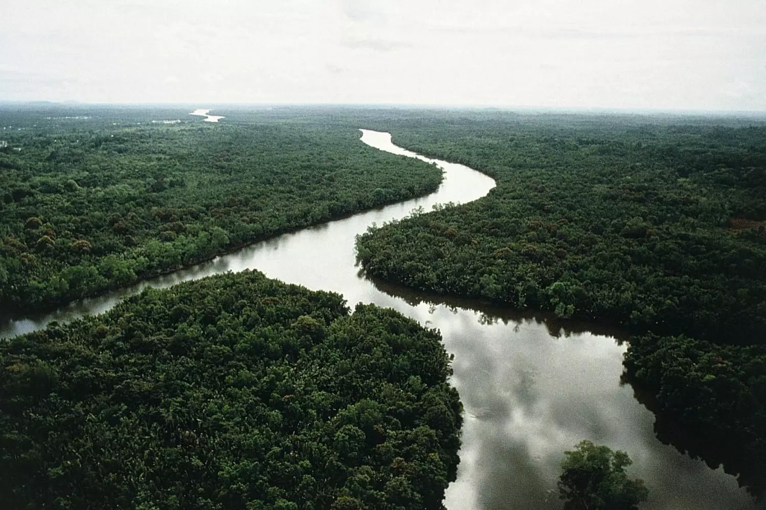 Land Biomes - Tropical Rainforests