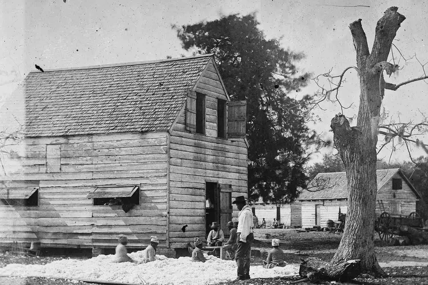 Sieben Afroamerikaner bereiten 1862 in South Carolina Baumwolle für einen Gin zu