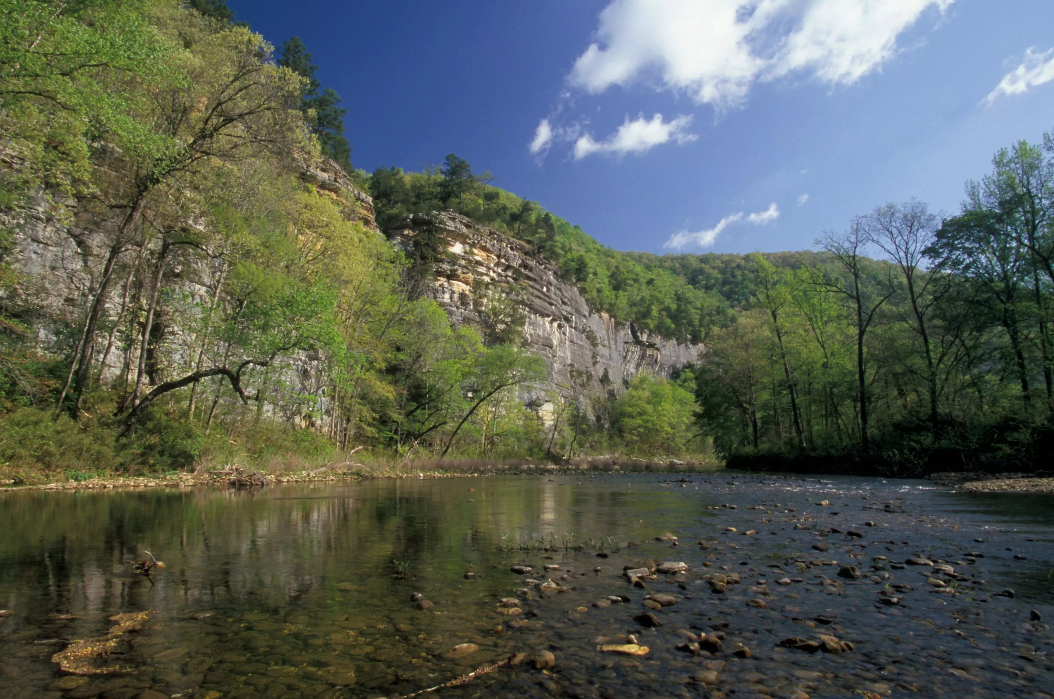 Río Nacional Buffalo