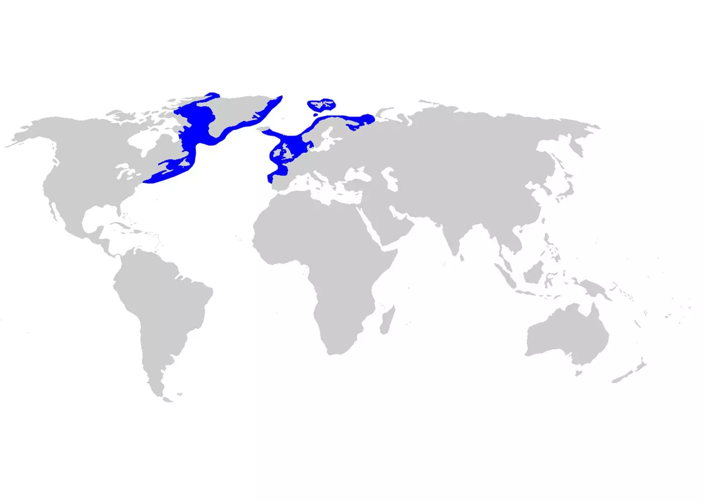 Distribuția rechinilor din Groenlanda