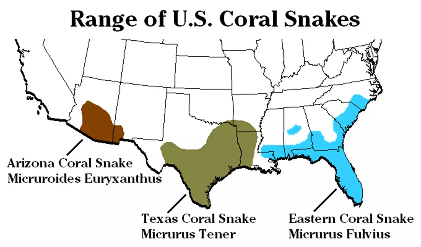 Especies y rango de serpientes coralinas en los Estados Unidos